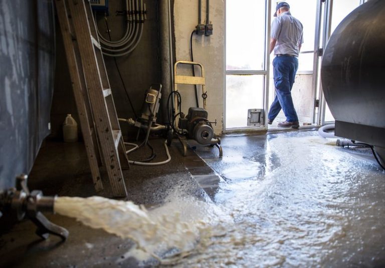 Why are we Throwing away Milk? – Really Right
