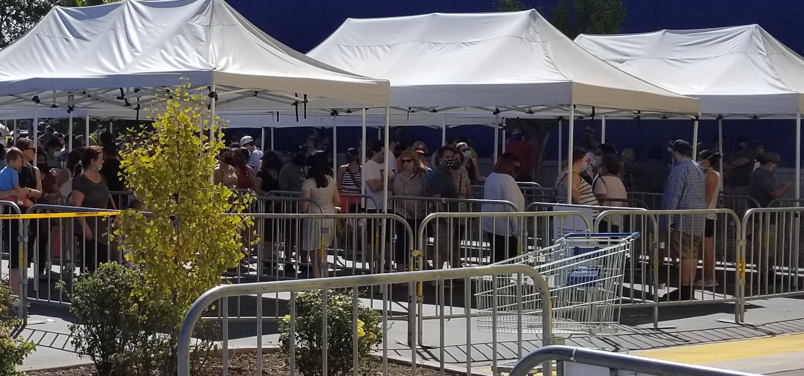 Ikea Mob – Really Right